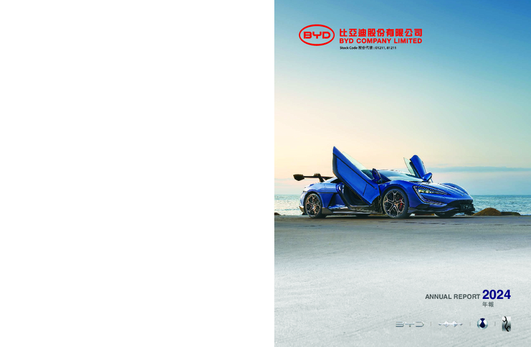 Newsroom der BYD Deutschland - BYD - Annual Report 2024